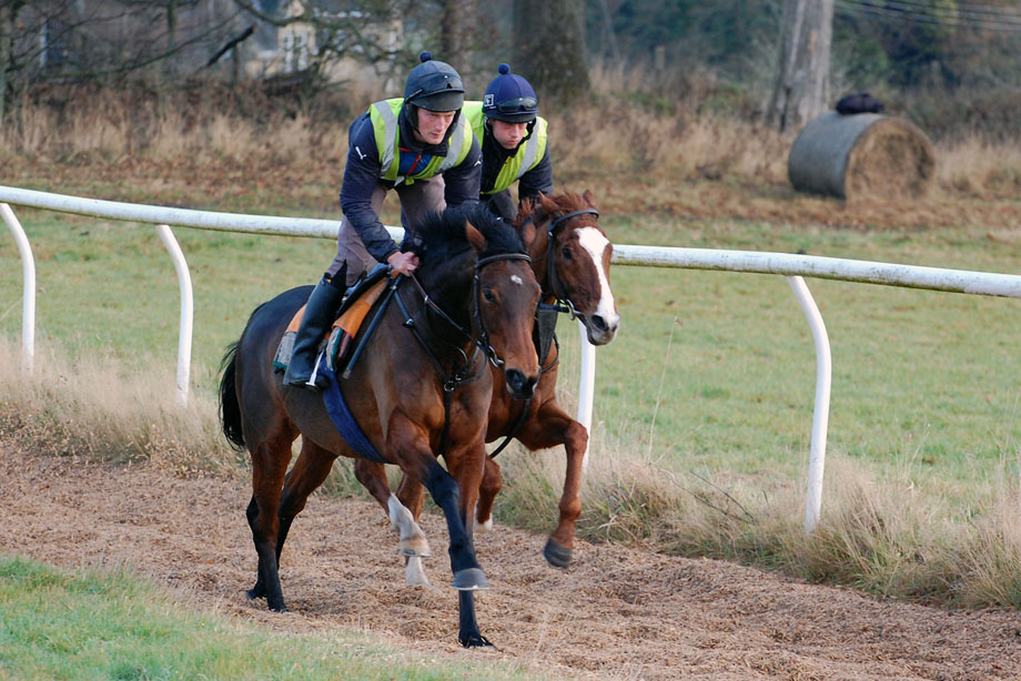 Home [www.donaldwhillansracing.com]