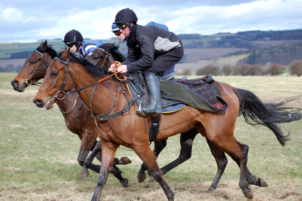 Profile of Staff at Donald Whillans Racing